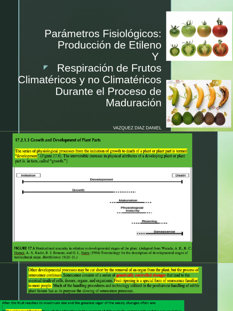 Parámetros Fisiológicos y PPO | PDF | Antioxidante | Enzima