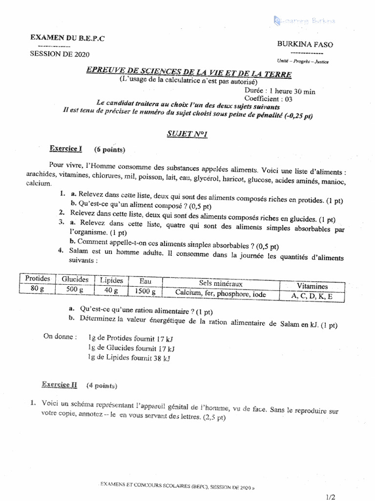 BEPC-2020-SVTSujet1 | PDF