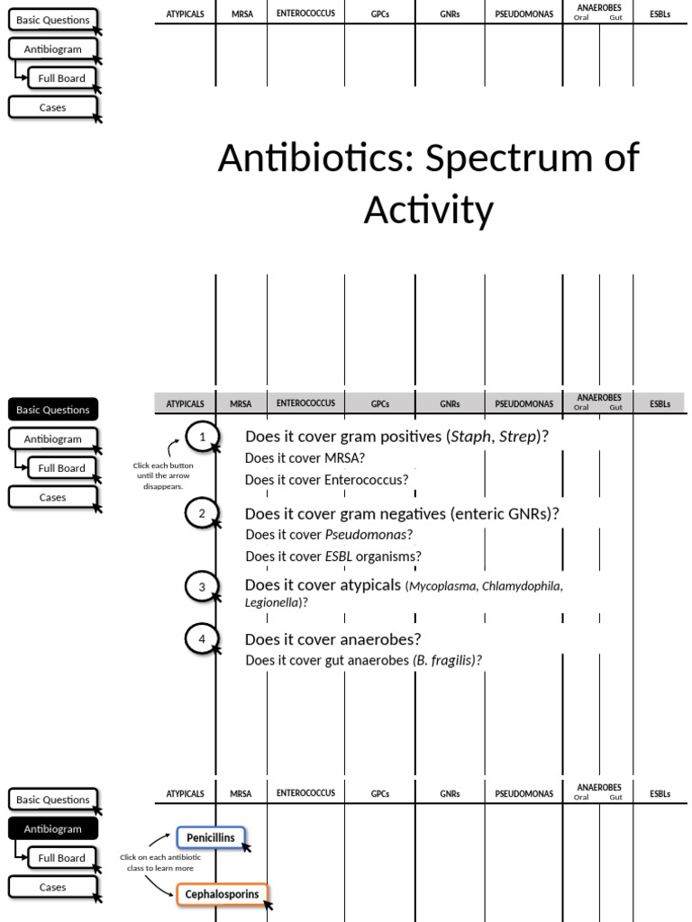 Antibiotic Spectrum Final 1 | PDF | Beta Lactamase | Methicillin ...