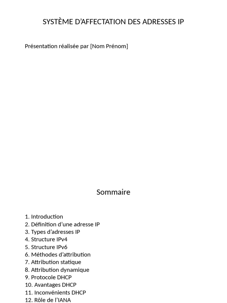 Système d'Affectation des Adresses IP | PDF | Adresse IP | I Pv6