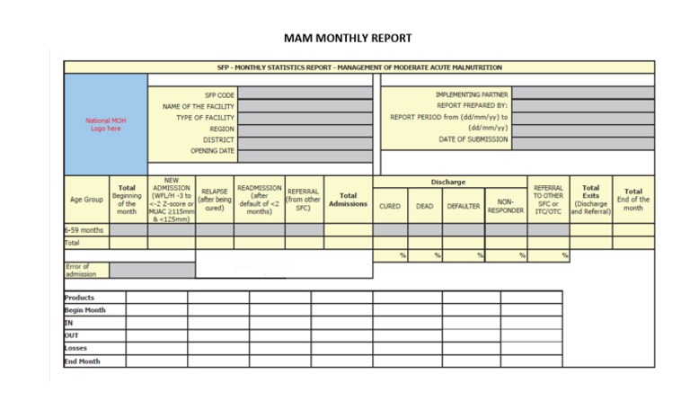 MAM Monthly Report | PDF