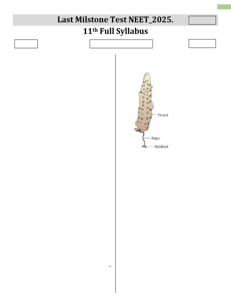 Test 7 11th Full Syllabus Questions Last Milstone Test NEET 2025 | PDF ...