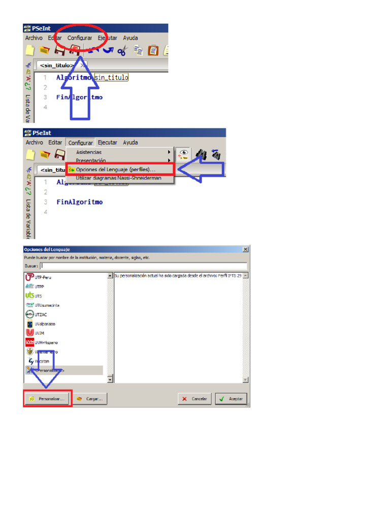 configuración pseint | PDF