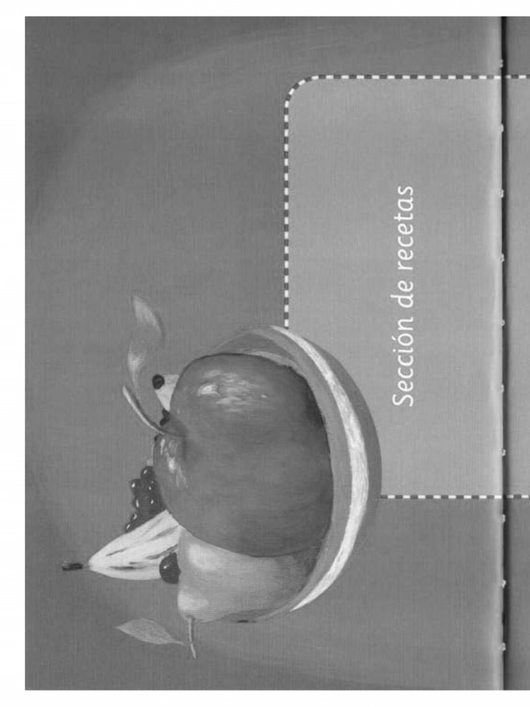 Sin Título-4 - 0054 - Capa 5 | PDF