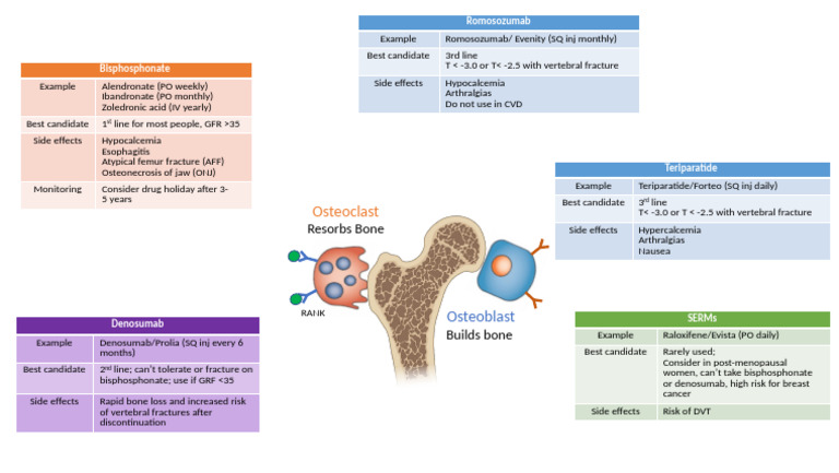 Learning Handout Osteoporosis | PDF | Endocrinology | Musculoskeletal System
