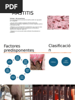 Características del exudado purulento | PDF | Infección | Medicina CLINICA