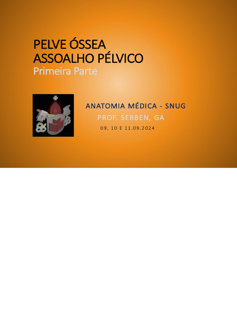 Anatomia da Pelve Óssea e Assoalho Pélvico | PDF | Pélvis | Quadril