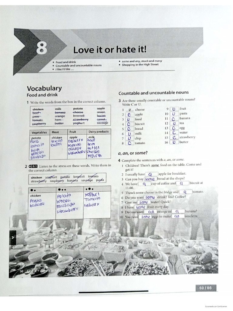 Love Ir or Hate It | PDF
