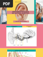 HINTS para Diagnóstico de Vertigem | PDF | Vertigem | Sistema vestibular