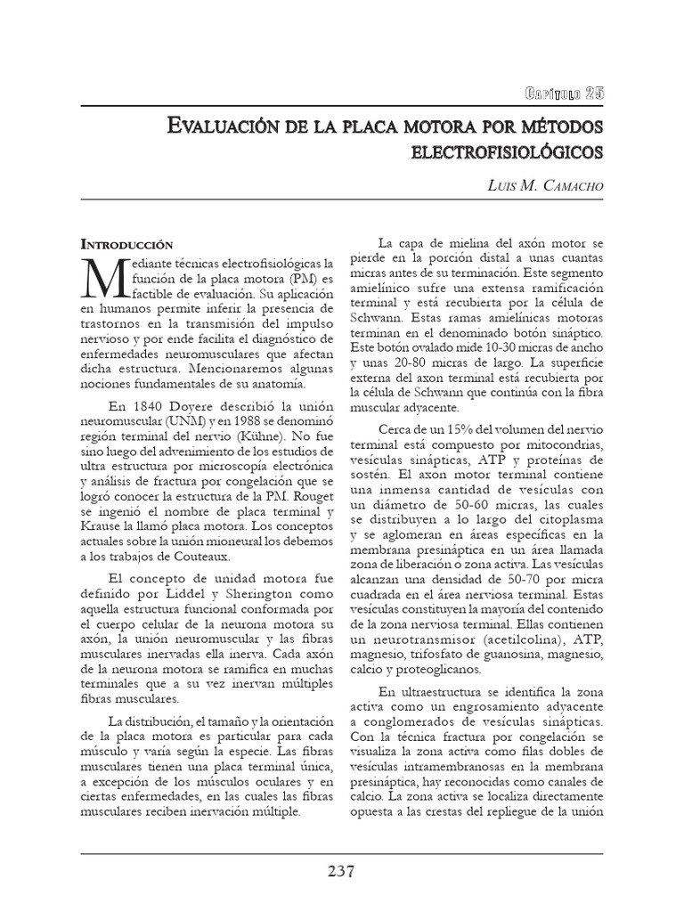 Evaluacion de La Placa Motora | PDF | Unión neuromuscular | Sinapsis