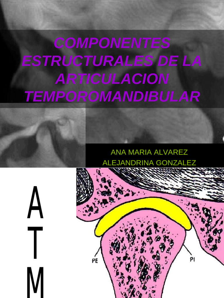 Atm Ale y Ana Duarte | PDF | Articulación | Anatomía