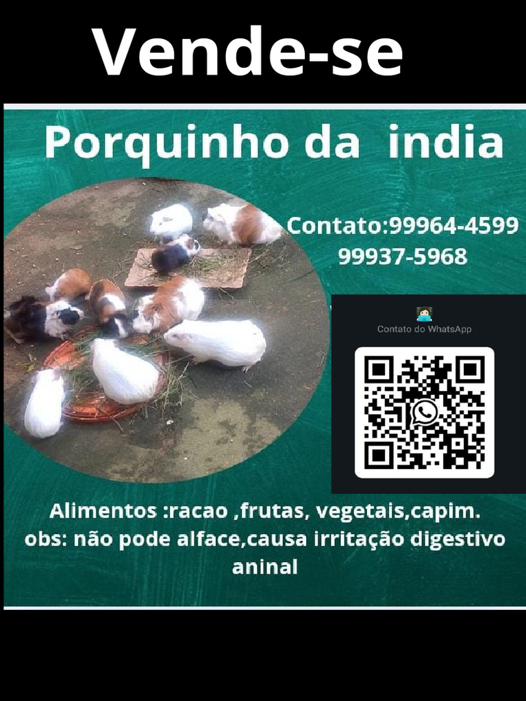 Vense - Se 20250412 154406 0000 | PDF