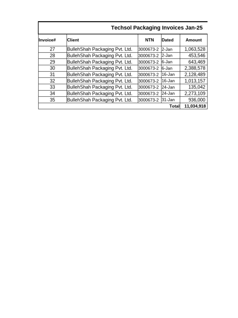 January 2025 Packaging Invoices Summary | PDF