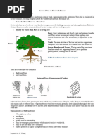 Tree Trunk Cross Section Explained | PDF