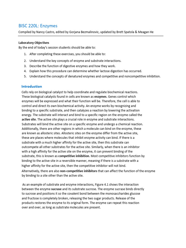 Bisc220 Lab Manual Enzymes Spring2025 MH | PDF | Enzyme | Digestion