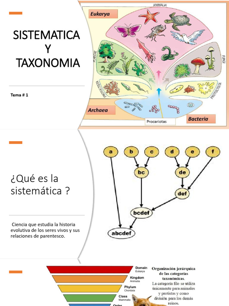 Taxonomía y Sistemática | PDF | Taxonomía (biología) | Eucariotas