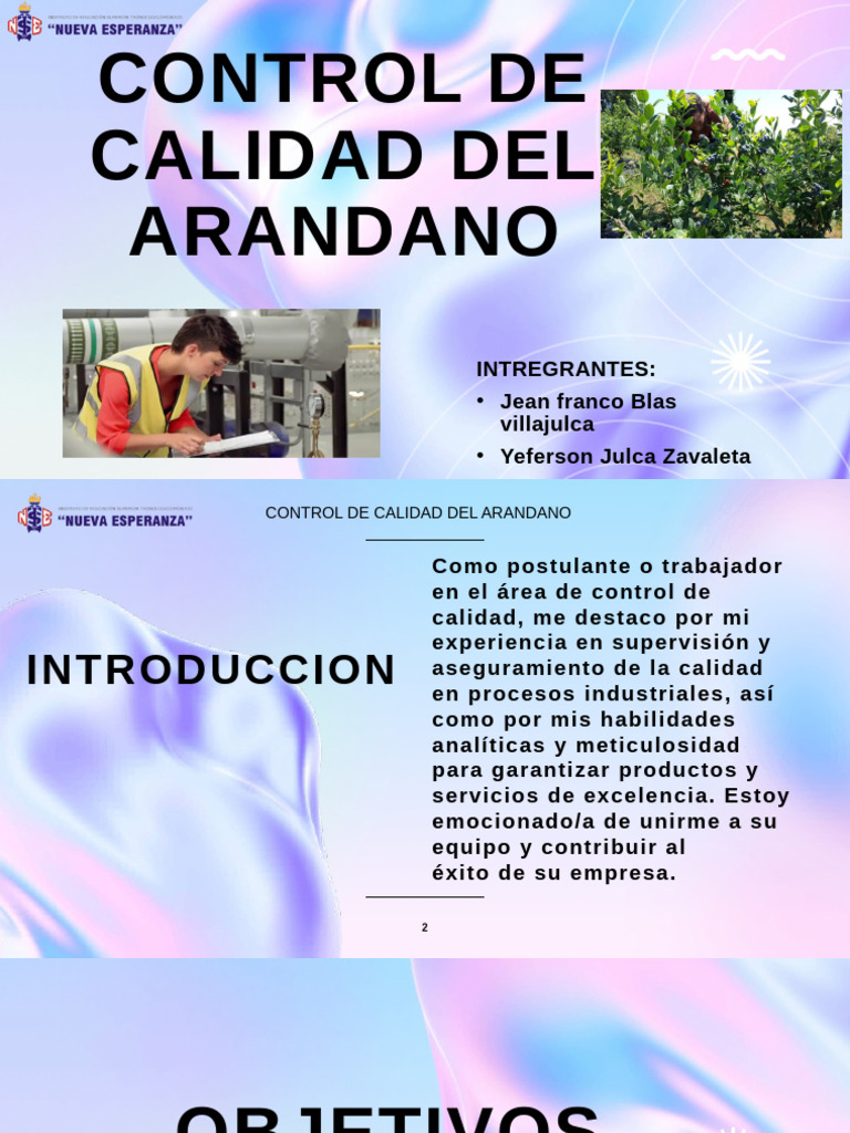 Control de Calidad Del Arandano | PDF | Arándano