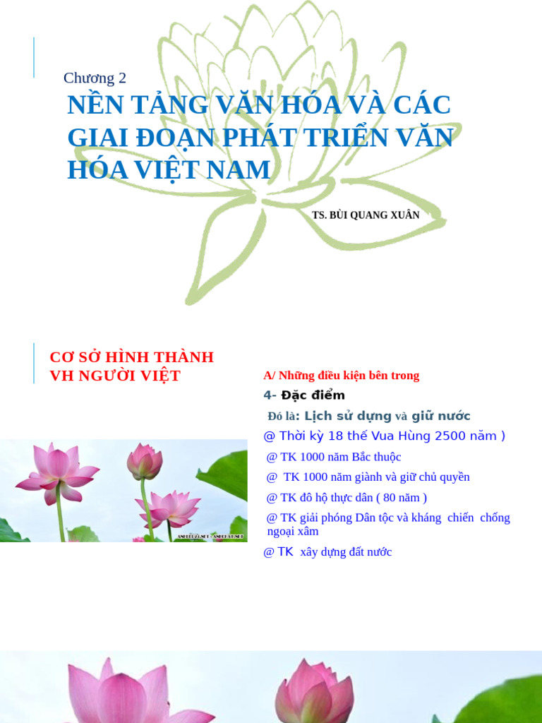 Nen Tang Van Hoa Va Cac Giai Doan Phat Trien Van Hoa Viet Nam Ts Bui Quang Xuan | PDF