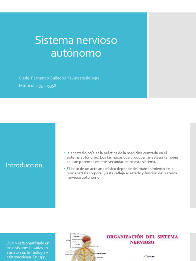 Presentación | PDF | Hipotálamo | Sistema nervioso