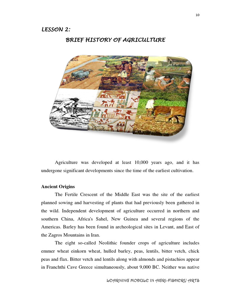 CHAPTER 1 L2 Brief History of Agriculture | PDF | Agriculture | Wheat