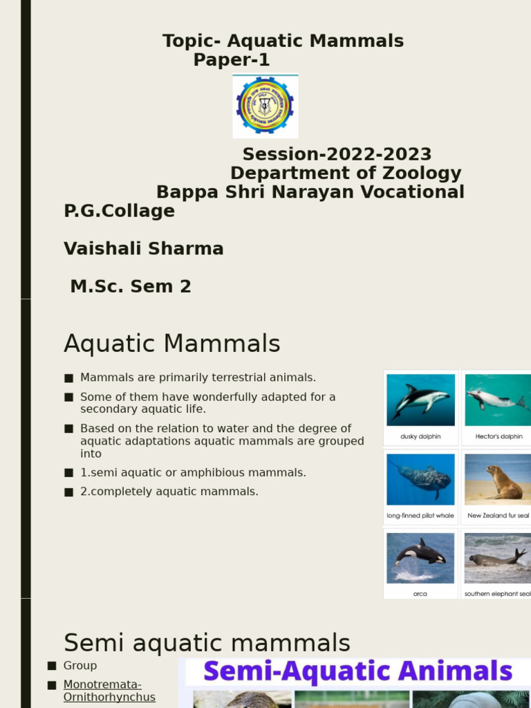 Aquatic Mammals and Their Adaptations | PDF | Mammals | Lung