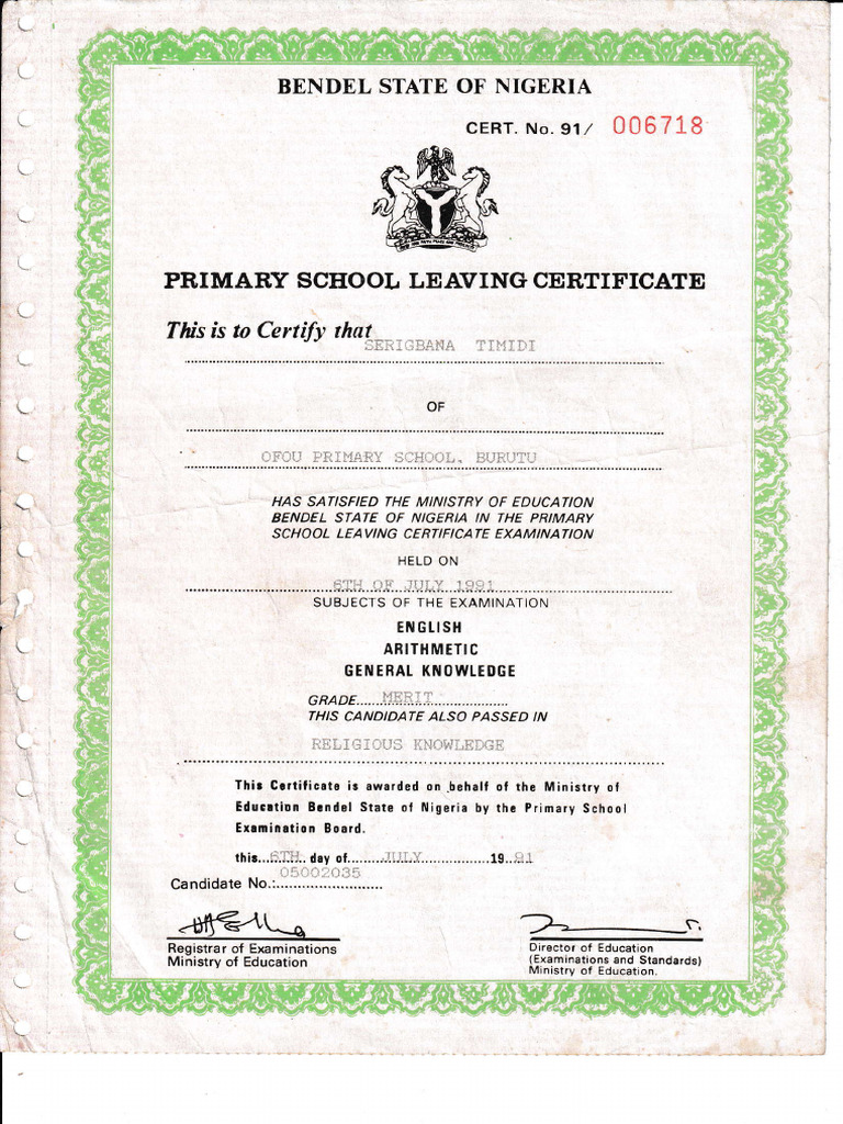 Primary School Leaving Certificate - 20250411 - 0001 | PDF