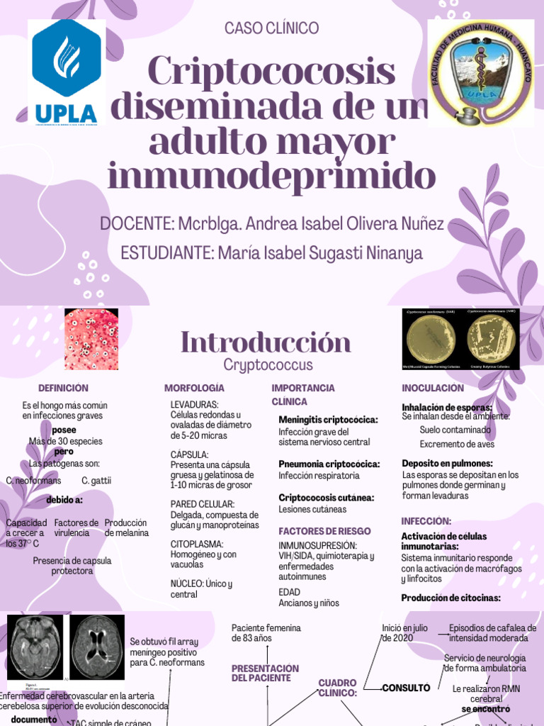 Criptococosis Diseminada de Un Adulto Mayor Inmunodeprimidoproyecto ...