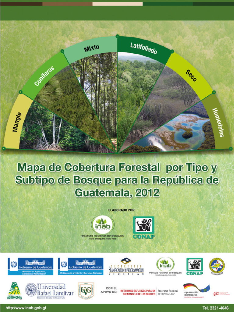 Cobertura Forestal Por Tipo y Subtipo de Bosque (1) | PDF | Los bosques | Mapa