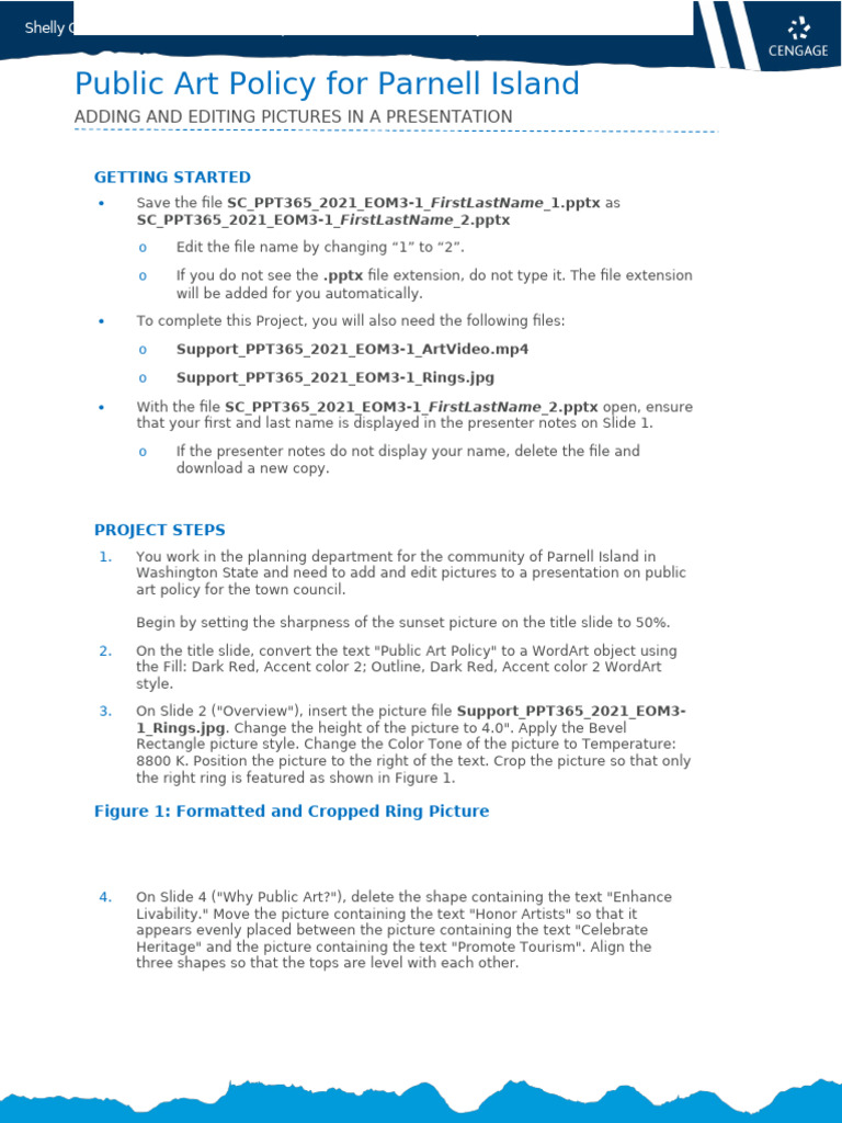 Public Art Policy Presentation Project | PDF | Microsoft Power Point ...