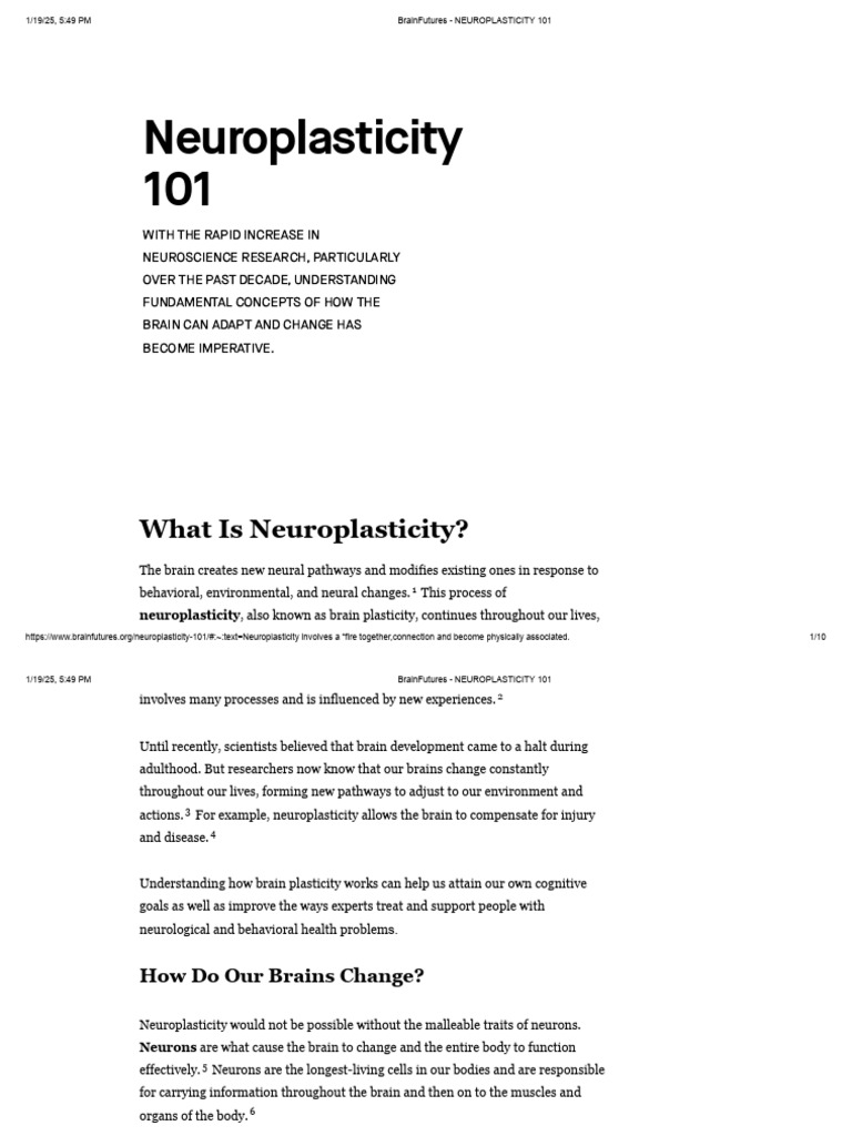 BrainFutures - NEUROPLASTICITY 101 | PDF | Neuroplasticity | Neuron