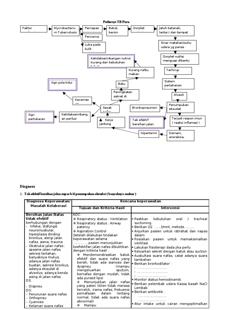 Pathways TB Paru | PDF