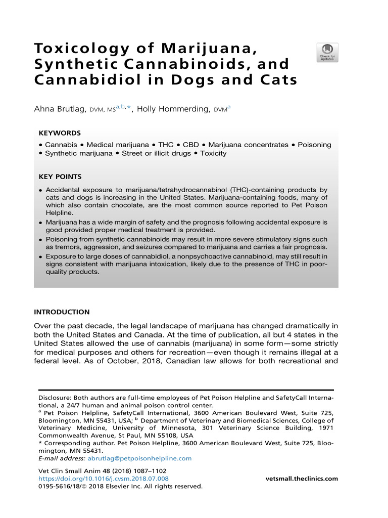 Cannabis Toxicity in Pets | PDF