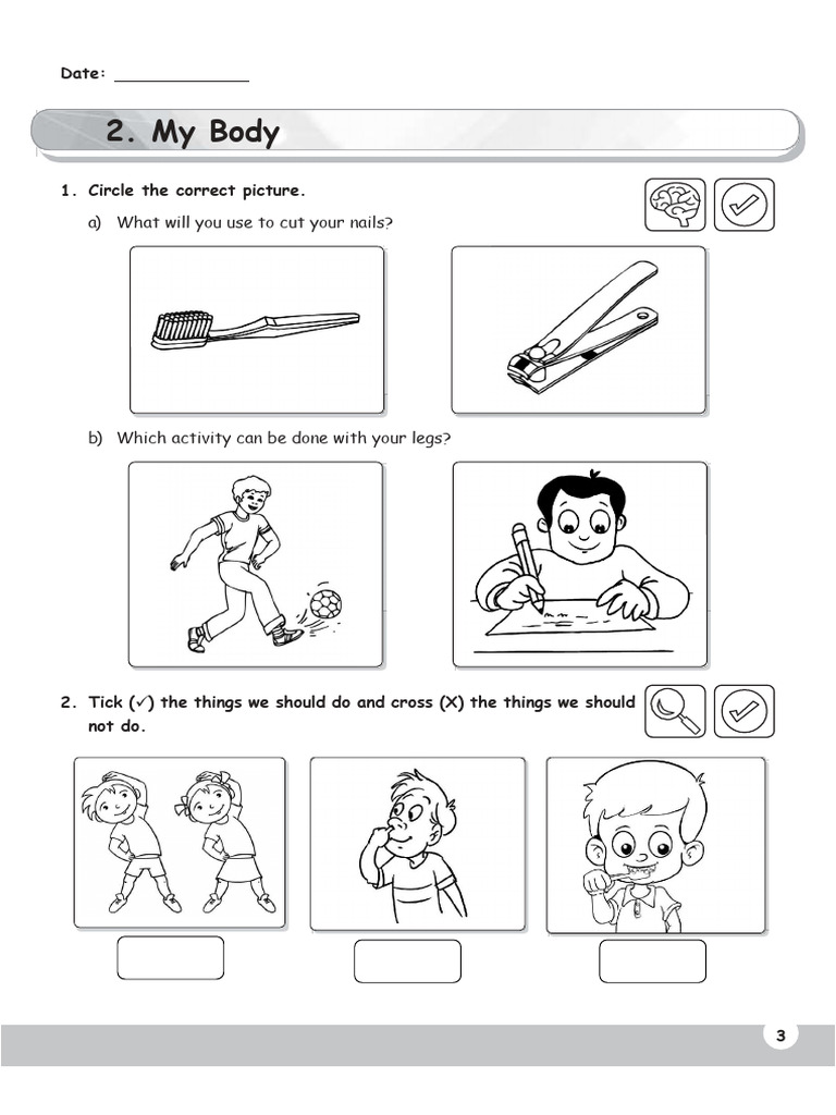 My Body Activities Worksheet | PDF