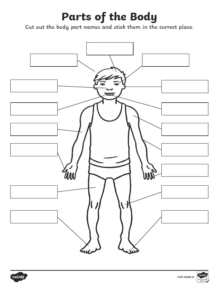Body Parts Cut and Stick Activity | PDF