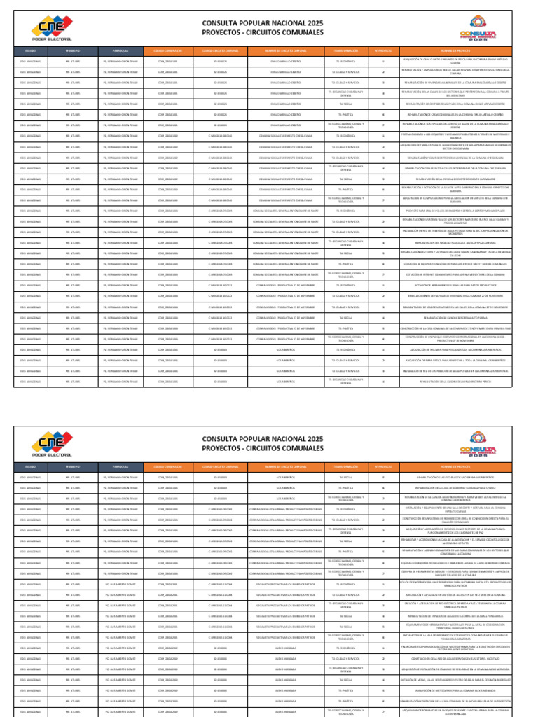 Edo. Amazonas Proyectos y Circuitos PCP2025 | PDF