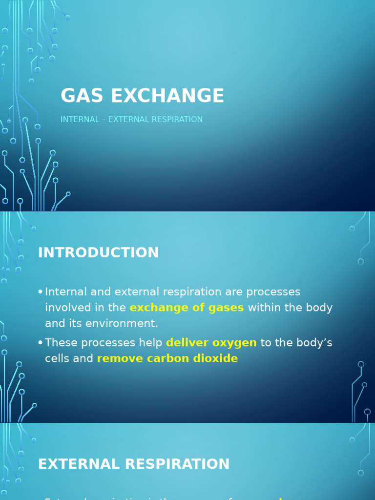 Gas Exchange | PDF