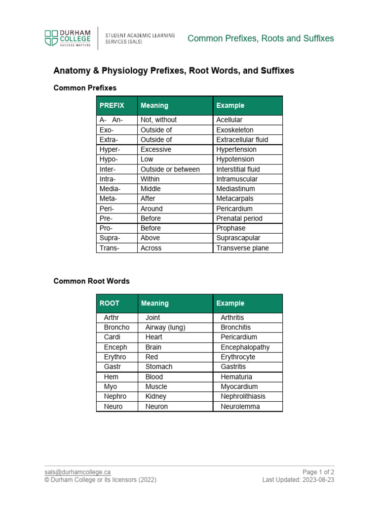 Common-AP-Prefixes-Roots-and-Suffixes | PDF | Organ (Anatomy) | Tissue ...