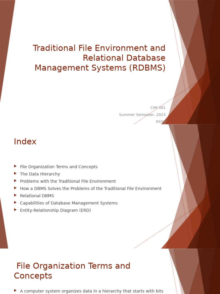 08 - Traditional File Environment and Relational Database Management Systems | PDF | Databases ...