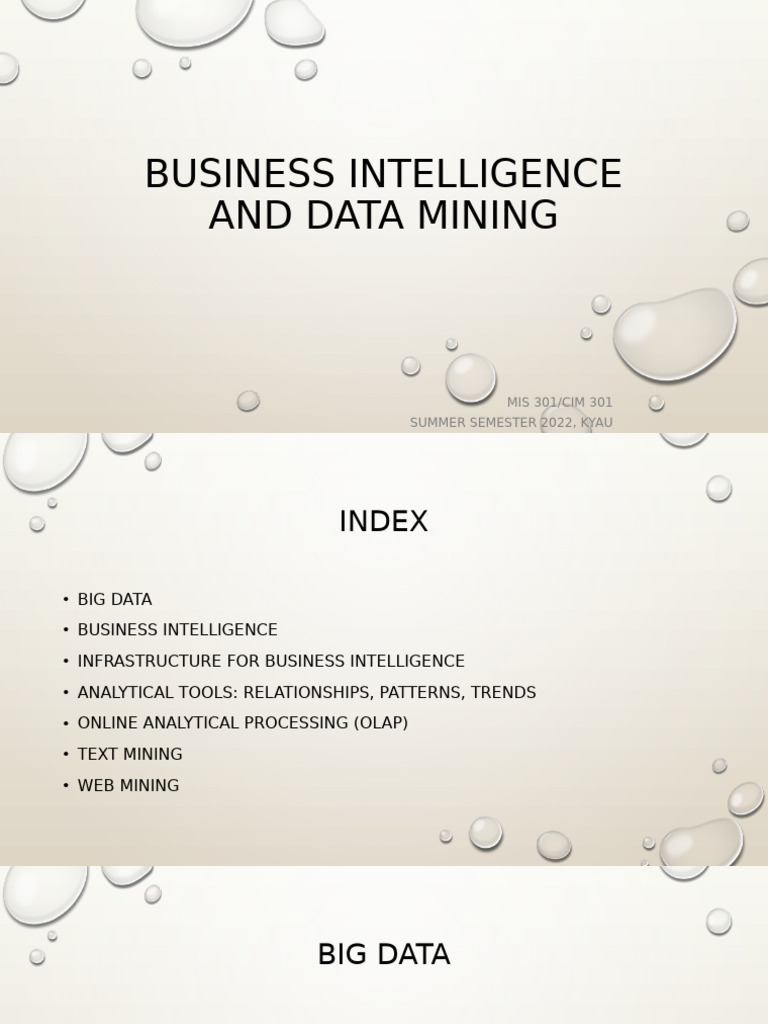 09-Business Intelligence and Infrastucture | PDF | Business ...