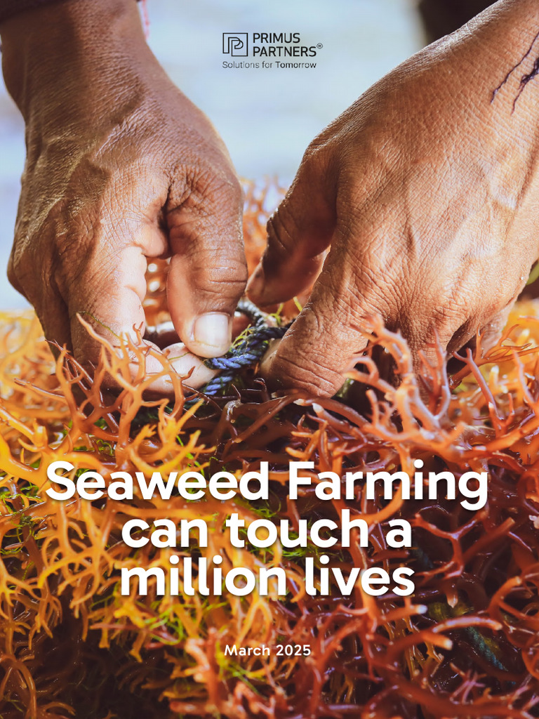 Seaweed Farming Can Touch a Million Lives | PDF | Agriculture | Seaweed