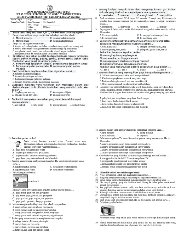 Sas 1 Ipas 2024-2025 | PDF