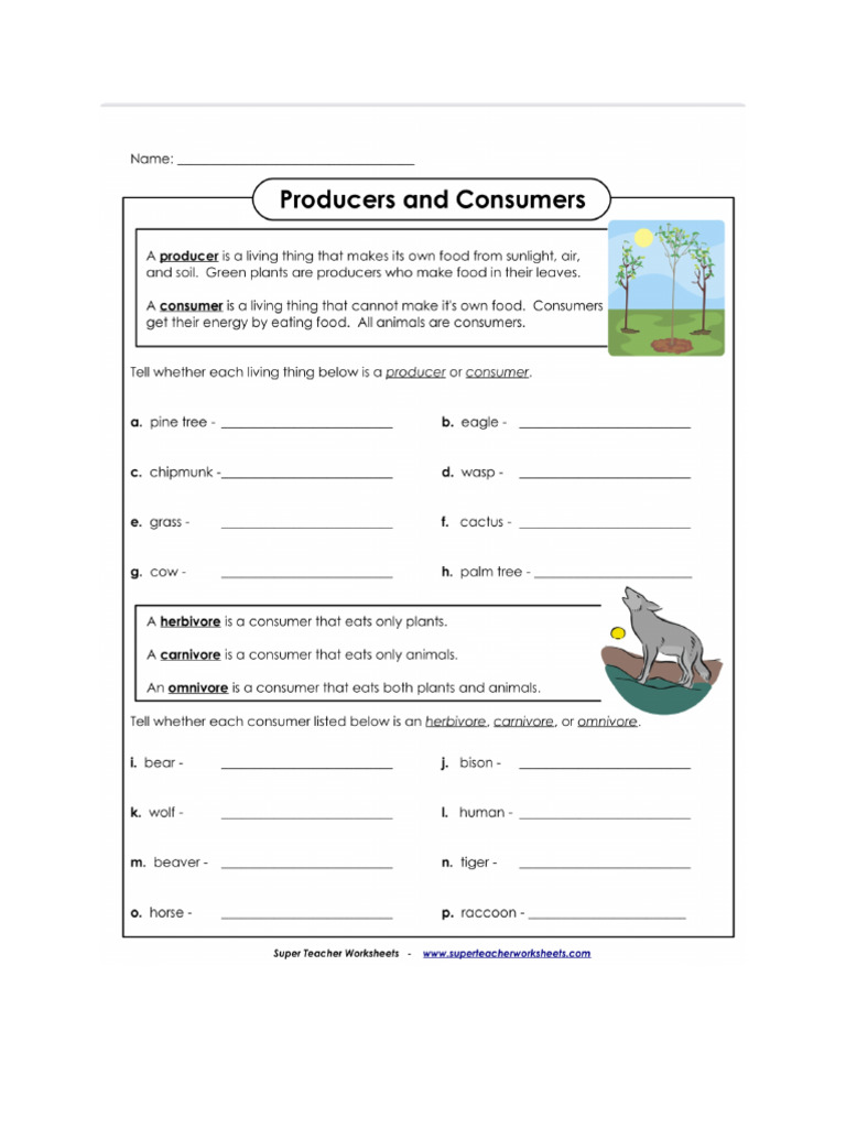 Ecosystem Roles Worksheets | PDF