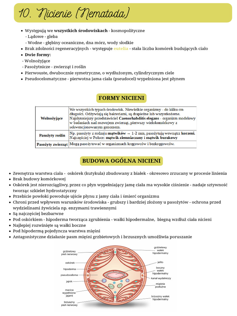 Nicienie | PDF