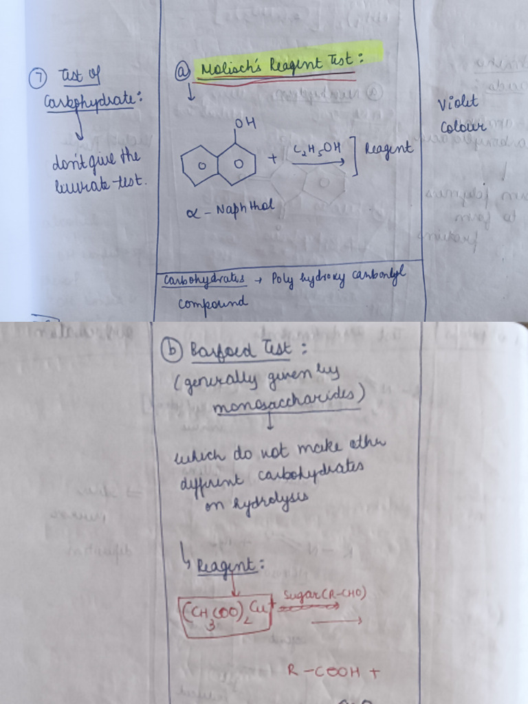 Organic Chem Tests Pt. 2 | PDF