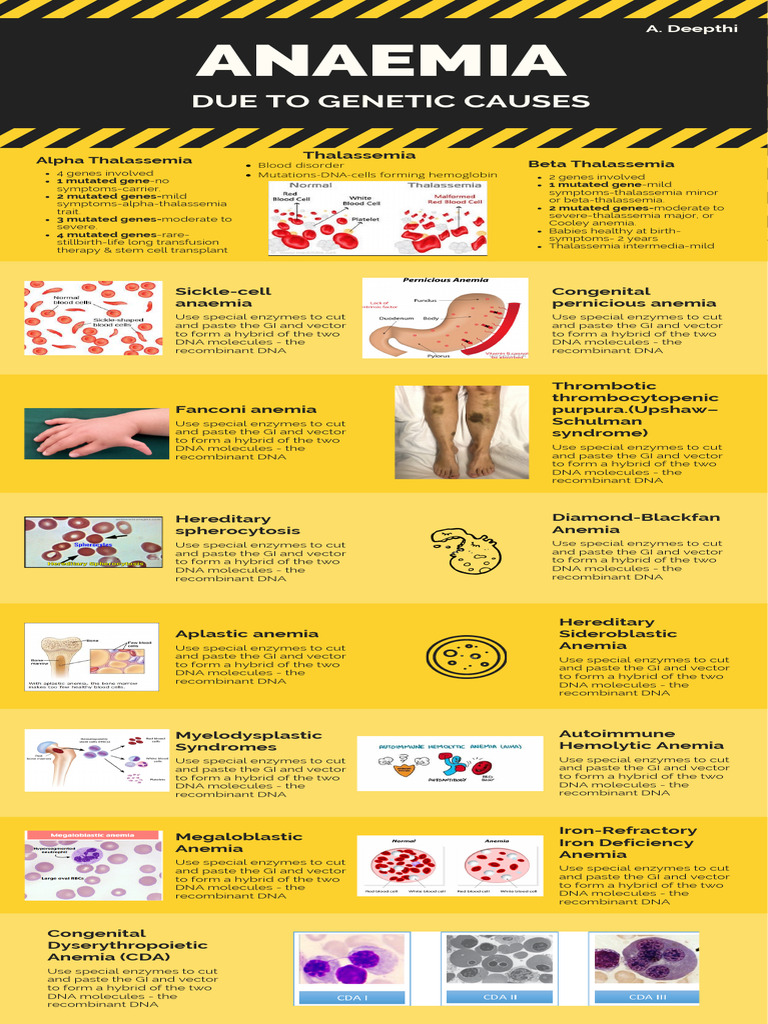 Yellow Illustrated Process Infographic.pdf | PDF | Anemia | Genetic ...