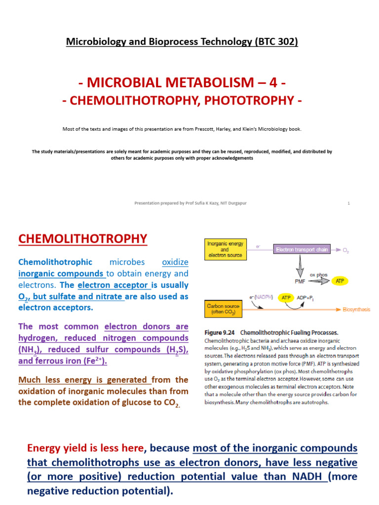 Microbiology 16 - Microbial Metabolism 4 - Chemolithotrophy ...