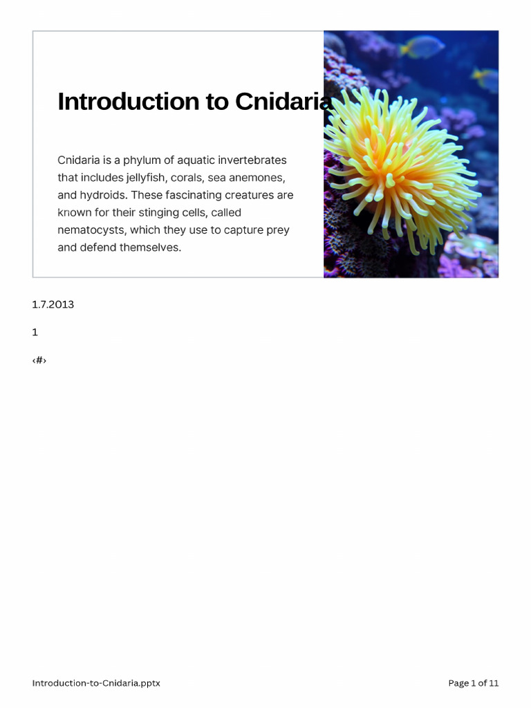 Introduction-to-Cnidaria - PPTX 20240913 035207 0000 | PDF