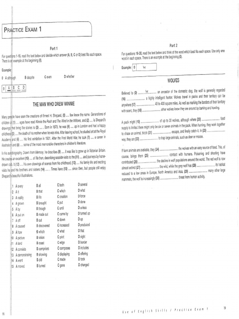 Macmillan b2 | PDF