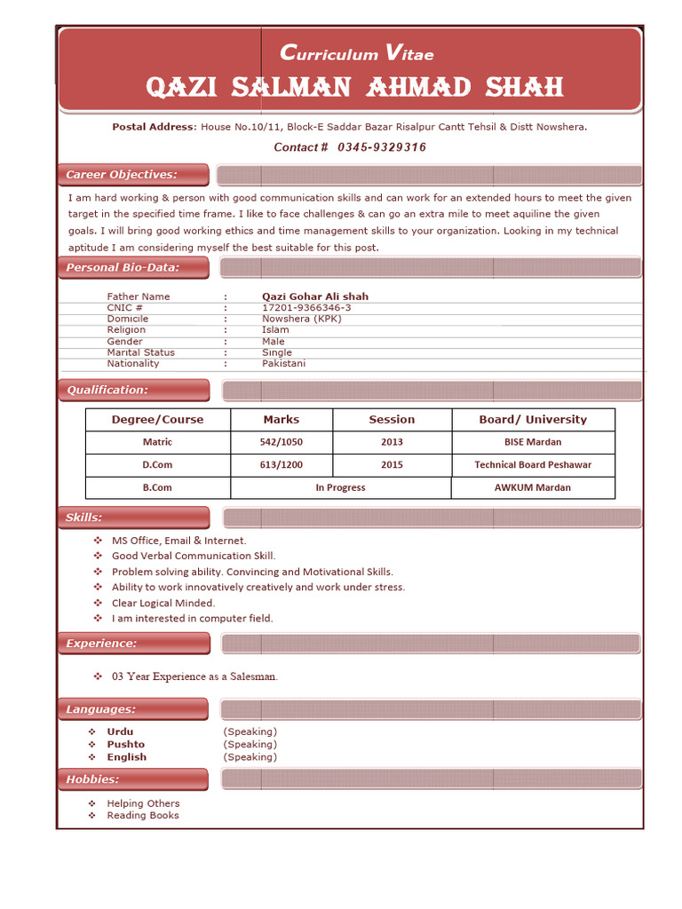 Qazi Salman CV | PDF