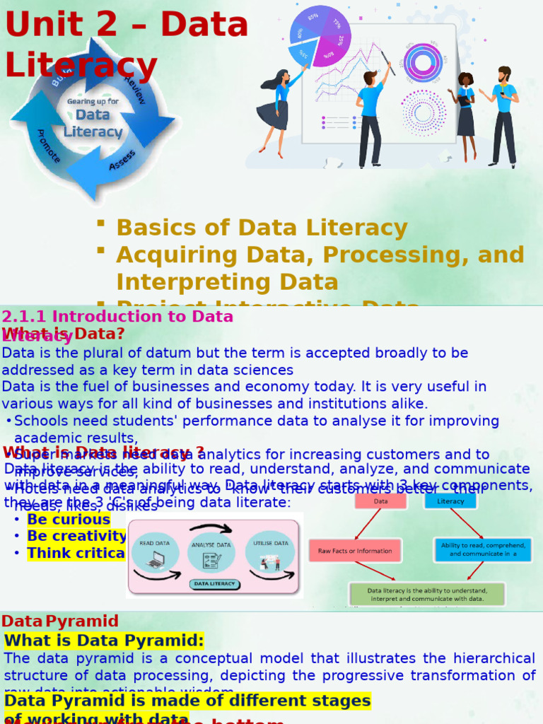 Unit 2 - Data Literacy | PDF | Computer Security | Security